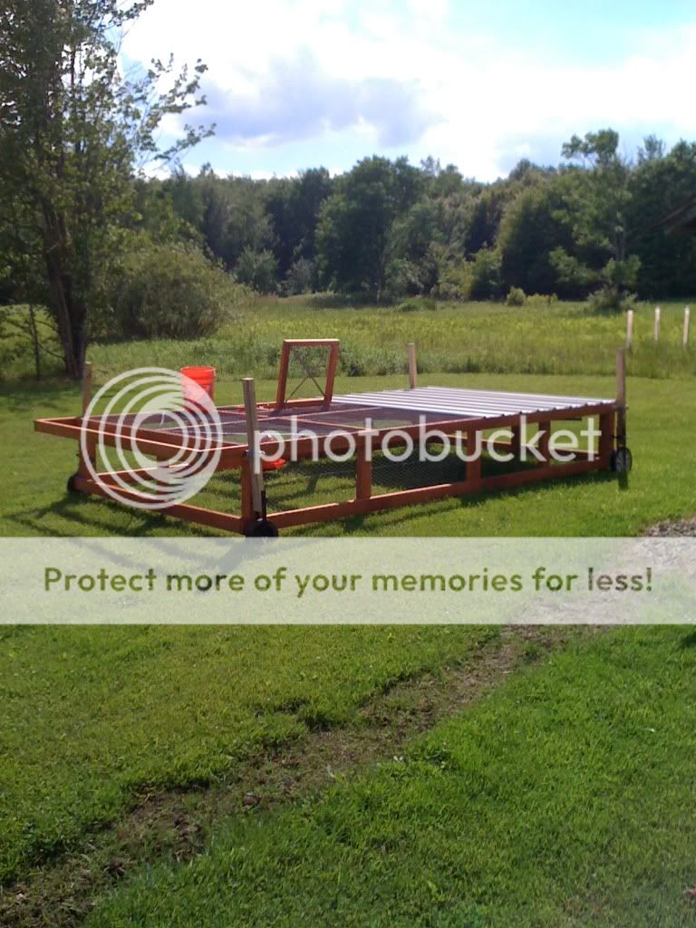 patimekillers Chicken grazing pen | BackYard Chickens - Learn How to ...