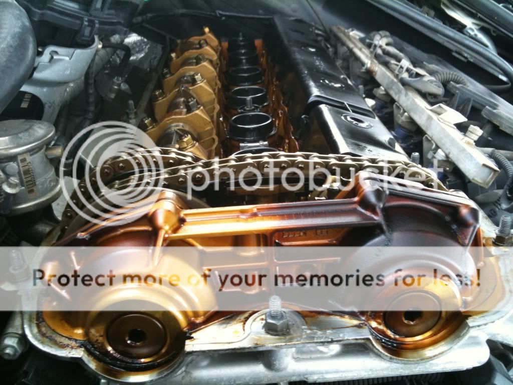 Introducing my panda's transformation, been at Bf.c for a while. New ...