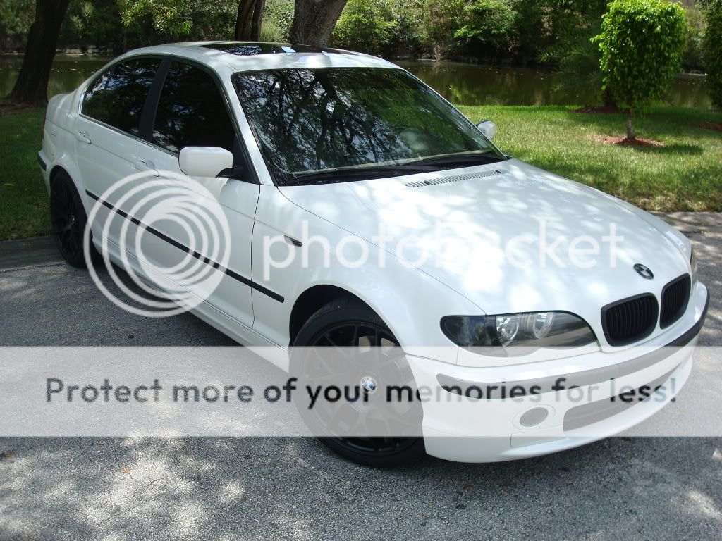 Introducing my panda's transformation, been at Bf.c for a while. New ...