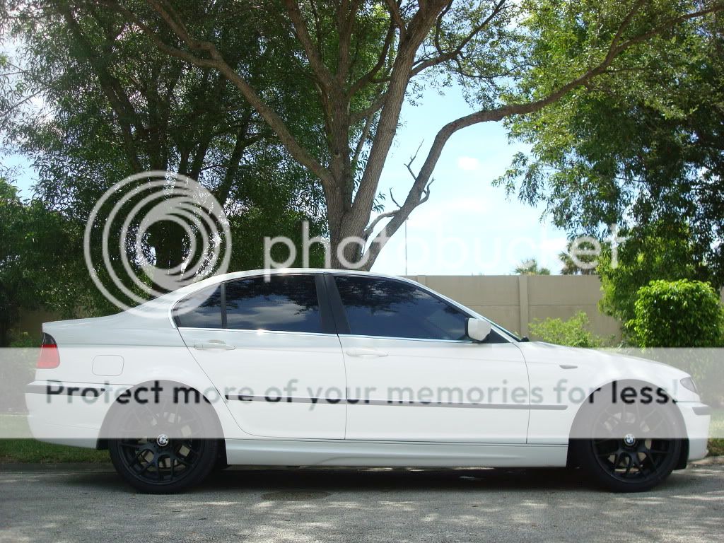 Introducing my panda's transformation, been at Bf.c for a while. New ...